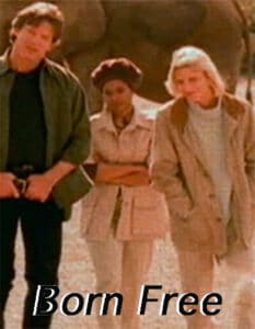 Catalogue - Mediatoon Distribution